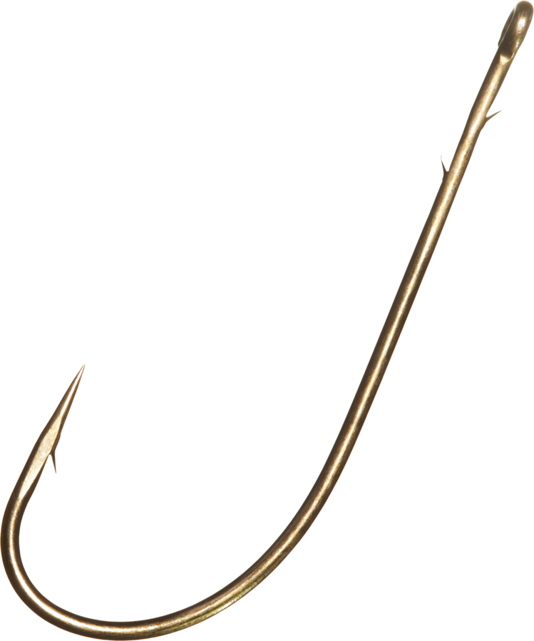 fish_hook3 – The Bible Reading Challenge Presented by VCY